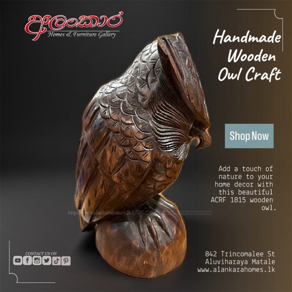 ACRF 1815 Wooden Owl (Premium) Handmade Craft – Alankarahomes.lk